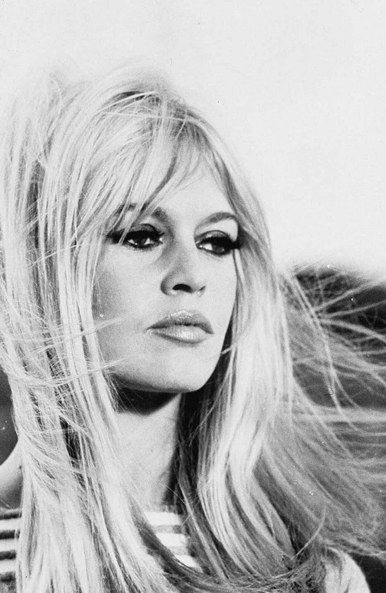 L'héritage de Brigitte Bardot nous oblige - STRATPOL